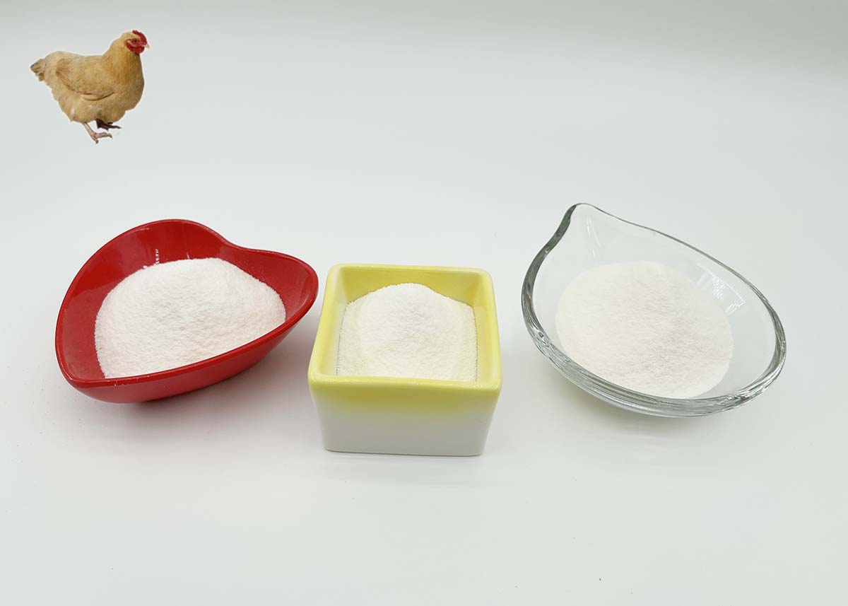 China Good For Joint Health For Chicken Collagen type ii factory and ...